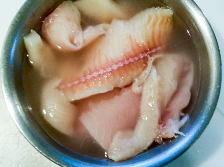 Northern Pike Recipe- GF or Panko Crusted - Binky's Culinary Carnival