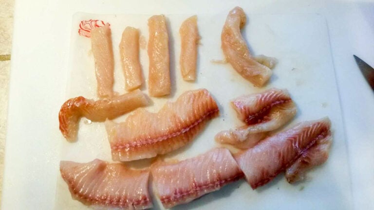 Northern Pike Recipe- GF or Panko Crusted - Binky's Culinary Carnival
