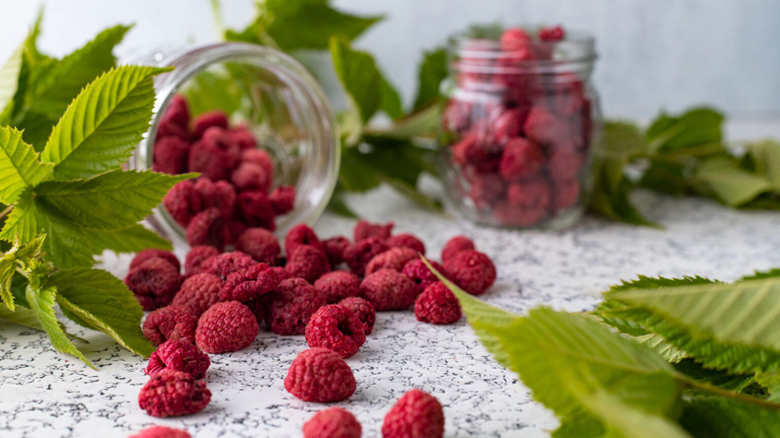 15 Dehydrated Fruit Recipes That Keep Flavor Locked In - Binky's ...