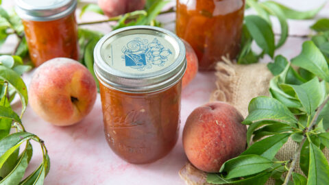 How to Fix Jam/ Jelly That Didn't Set - Binky's Culinary Carnival