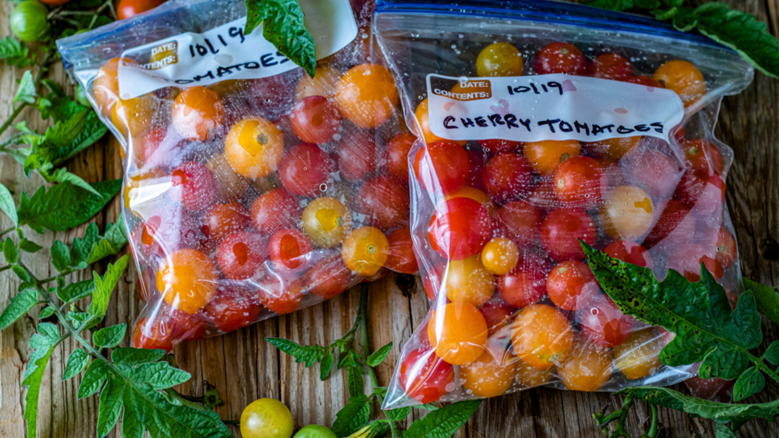 Freezing Tomatoes- 3 easy ways - Binky's Culinary Carnival