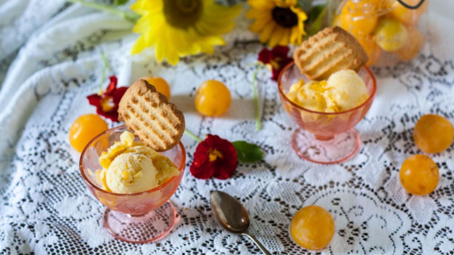 14 No-Bake Desserts That Taste Like Summer - Binky's Culinary Carnival