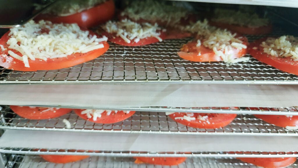 Tomato Chips - Binky's Culinary Carnival