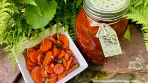 27 Sweet and Savory Carrot Recipes You Need to Make - Binky's Culinary ...