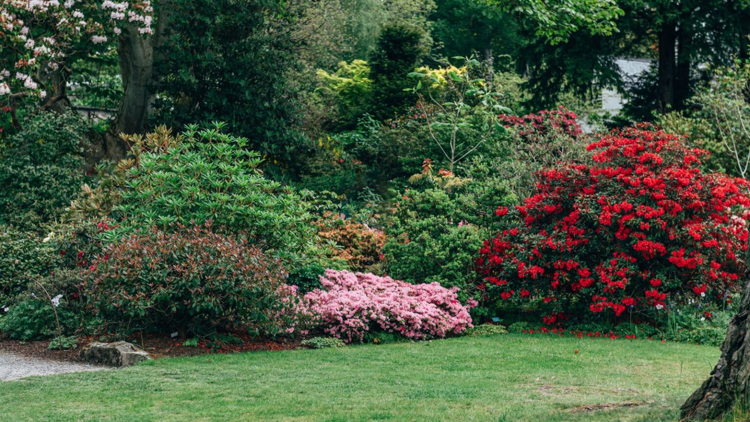 15 Shrubs That Prove Old Fashioned Never Looked So Good - Binky's ...