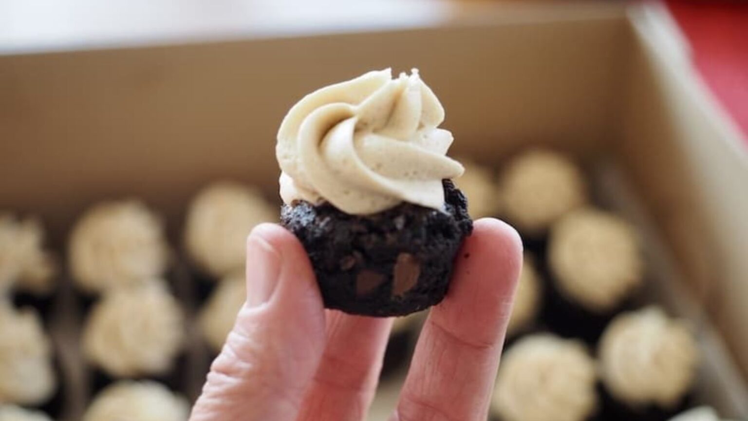 12 Dessert Bites That Always Get Snatched First - Binky's Culinary Carnival