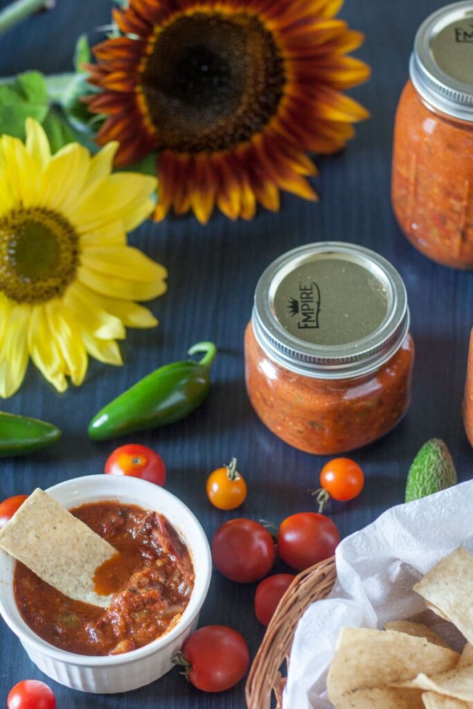 Chipotle Salsa Recipe - A Hint of Smokiness - Binky's Culinary Carnival