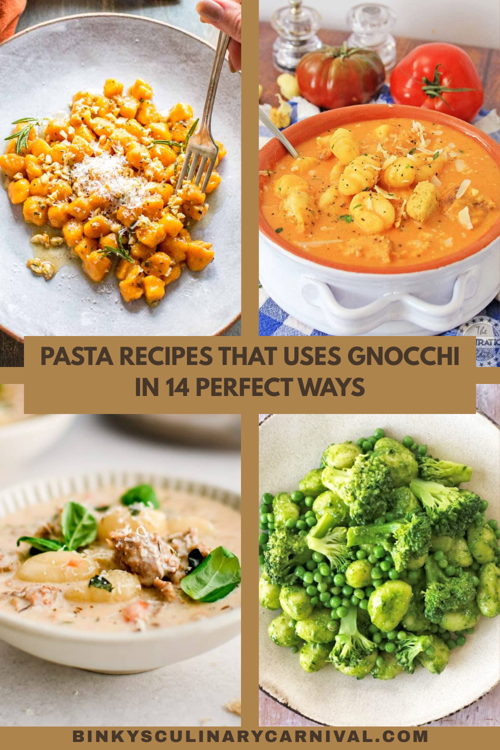Pasta Recipes That Use Gnocchi in 14 Perfect Ways - Binky's Culinary ...