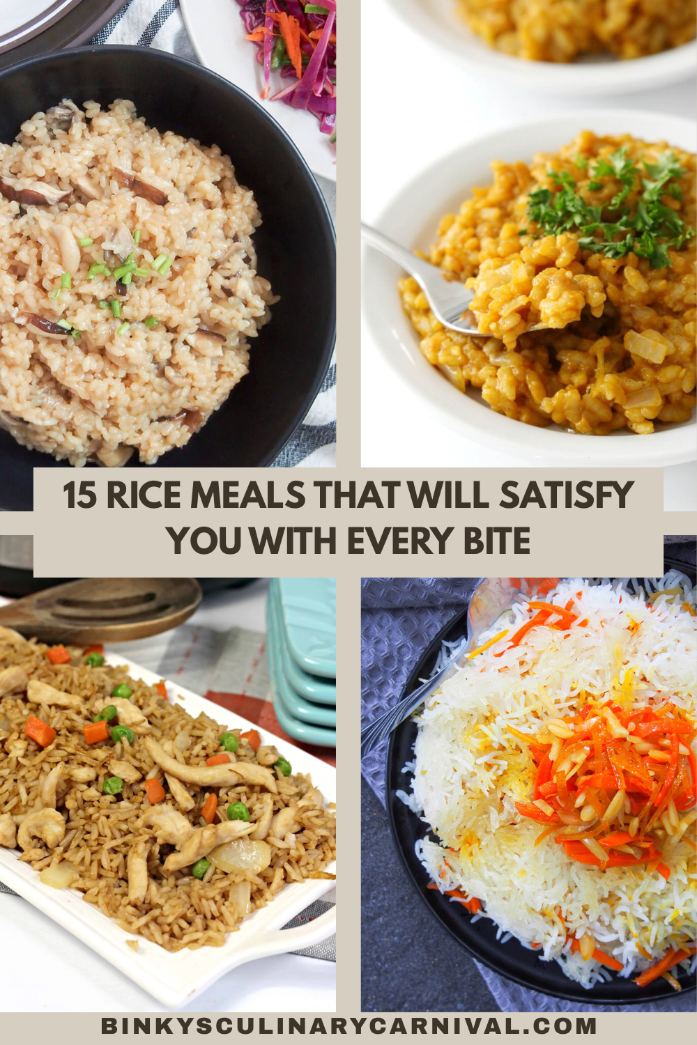 15 Rice Meals That Will Satisfy You With Every Bite - Binky's Culinary ...